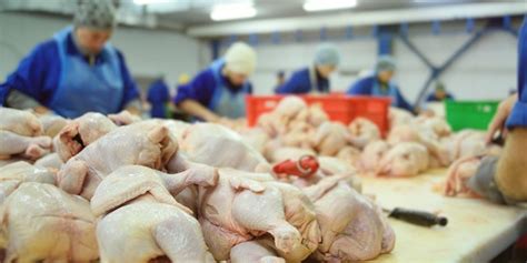 Broiler Chicken Price Fixing Litigation Class Action Lawsuit