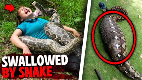 This Woman Was Eaten Alive And Swallowed Whole By Big Python Snake Youtube