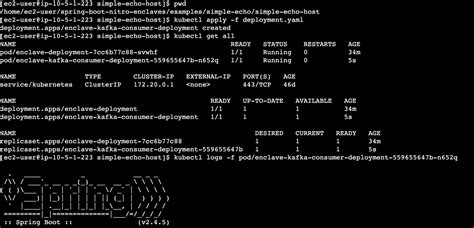 Java Spring Boot Nitro Enclaves Aws Eks Aws