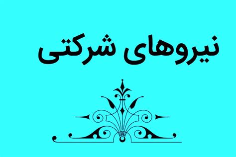 فوق العاده مهم برای نیروهای شرکتی انتظارها درباره ساماندهی کارکنان