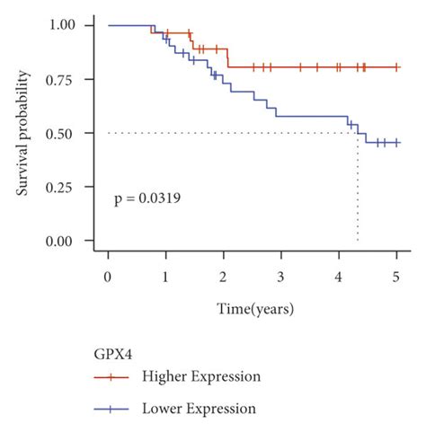 KM Curves Of 5 Genes Derived From The TARGET Training Set Download Scientific Diagram