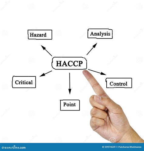 The Meaning Of Haccp Concept Hazard Analysis Of Critical Contro Stock