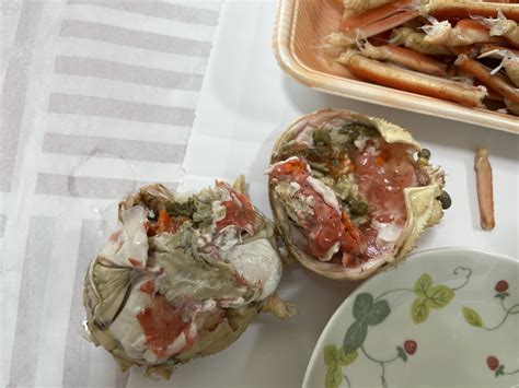 今年もこの季節がやってきました！冬のスペシャルな珍味です～セコガニ～ Camellia Tours