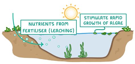 Eutrophication Lesson Gcse Biology Sqa5 Cognito