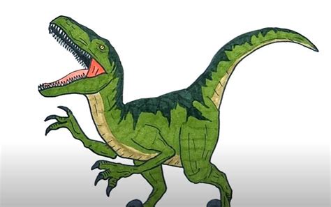 Velociraptor Drawing Step By Step Dinosaur Drawing In 2022