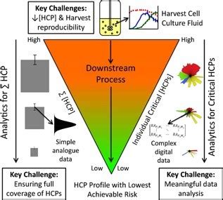 Robust Tools For HCPs Residual Detection And Monitoring Creative