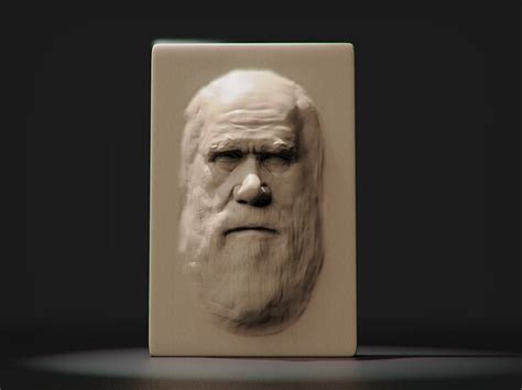 Darwin Walls Instagram Twitter And Facebook On Idcrawl