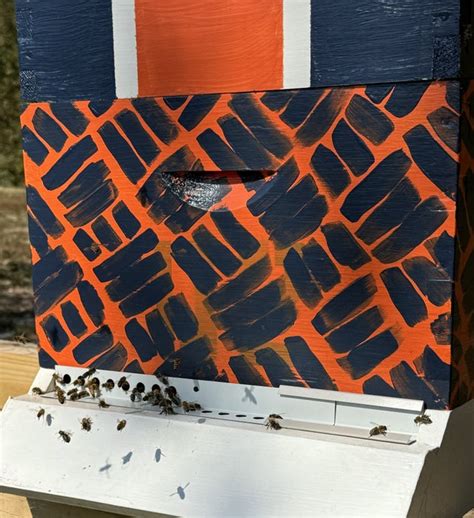 Beesource Beekeeping Forums