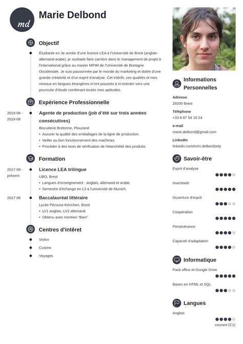 Exemple De Cv Niveau Langue Vrogue Co