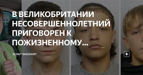 В ВЕЛИКОБРИТАНИИ НЕСОВЕРШЕННОЛЕТНИЙ ПРИГОВОРЕН К ПОЖИЗНЕННОМУ ЗАКЛЮЧЕНИЮ ЗА УБИЙСТВО ЭСМИ