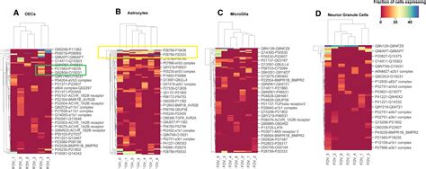 Cell Type Modeling In Spatial Transcriptomics Data Elucidates Spatially
