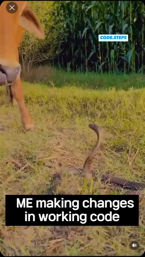 Code Step By Step Codesteps • Instagram Photos And Videos