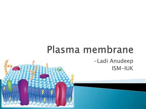 Cell Membrane Pptx