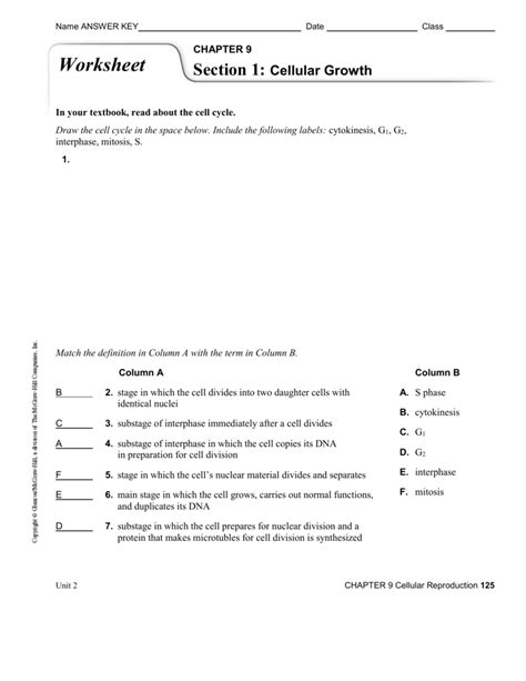 Cell Reproduction Worksheet Answers Pro Worksheet