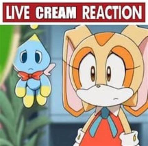 Have A Bunch Of Sonic Memes I “borrowed” R Moonpissing
