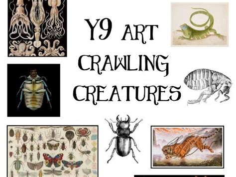 Art Project Booklet On Crawling Creatures Teaching Resources