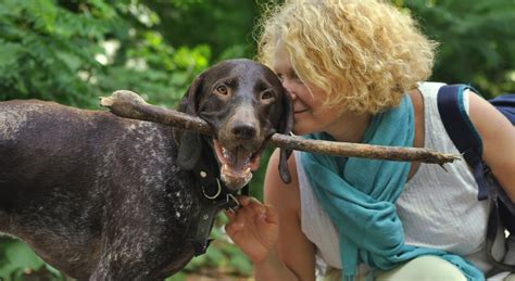 Natural Remedies For Dogs With Anxiety Good Old Doggie
