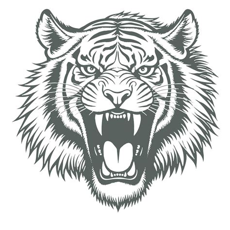 Handdrawn Tiger Growling Detailed Vector Illustration Premium Ai