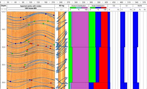 Understanding Fracture Topology A New Frontier In Subsurface Analysis Unlocked By WellCAD
