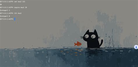 Redis核心数据类型解析——string篇 Csdn博客