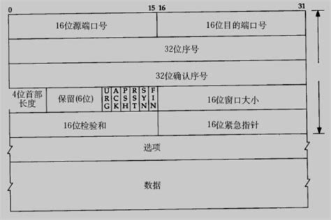 Tcp协议详解 Csdn博客