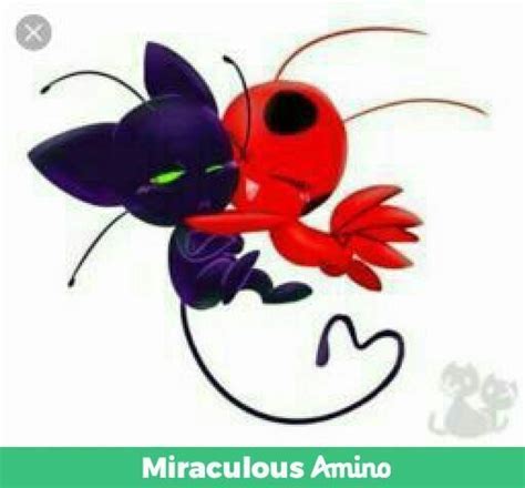 Importância Dos Kwamis Miraculous Ladybug Amino
