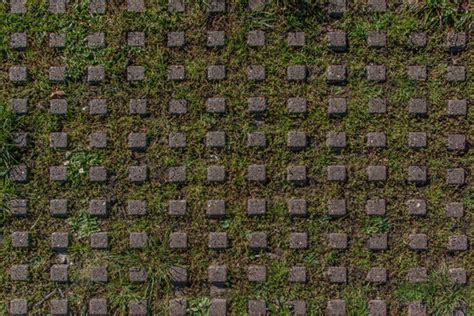 Grass Pavement Bilder Durchsuchen 49 Archivfotos Vektorgrafiken