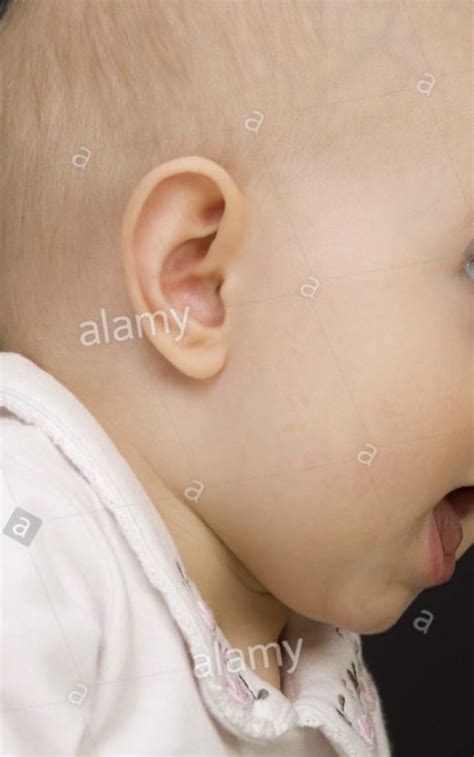 Right Ear Object Detection Dataset By Ear Detection