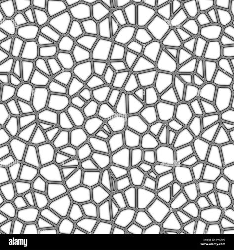 Science Cell Patterns Black And White Stock Photos Images Alamy