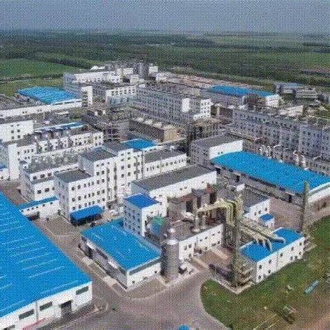 生物经济打造换道超车新引擎 伊品 产品 产业