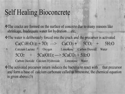 Bio Cement And Concretepptx
