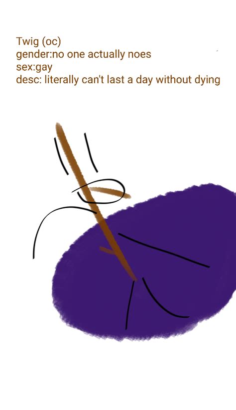 Twig R Objectshows