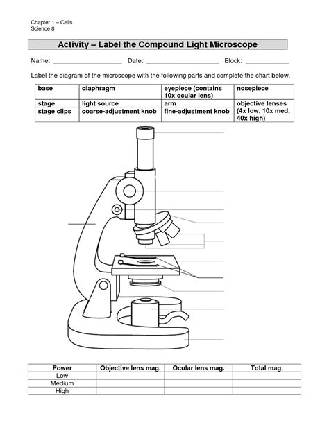 Activity Worksheet About Microscope