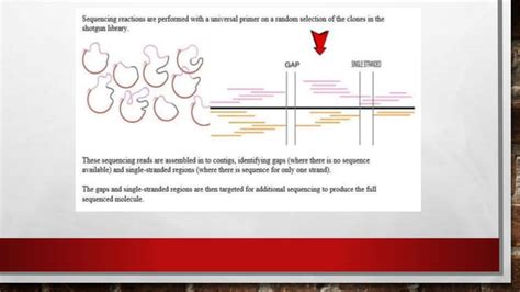 Whole Genome Shotgun Sequencingpptx