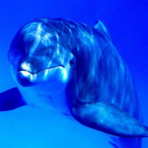 Kestutis Simkus Youtube