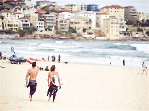 Removalists In Bondi Expert Moving Services Man And His Van