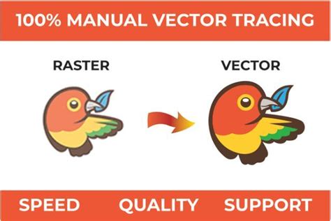 i will vector tracing manual tracing of any image product convert to