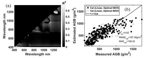 Improved Estimation Of Winter Wheat Aboveground Biomass Using Multiscale Textures Extracted From