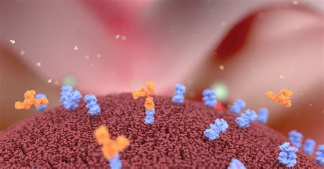 Qsc Fluorescent Antibody Titration Protocol Onelab