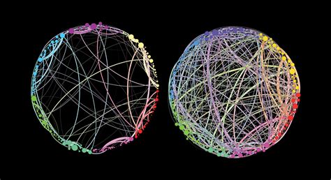 Is Connection The Cure News From Psychedelic Science 2017 The