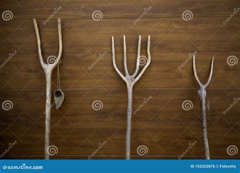 Ancient Egyptian Farming Tools