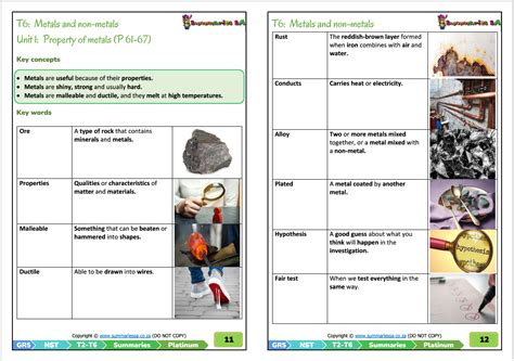 Grade 5 Natural Sciences And Technology Term 2 Nst Platinum