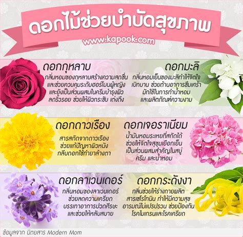 Infographic รูปภาพ สุขภาพ ดอกไม้ 6 ชนิด ช่วยบำบัดสุขภาพ