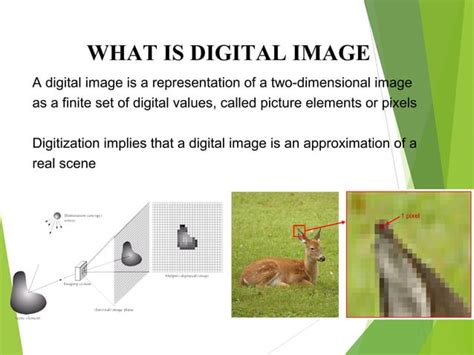 Digital Image Processing Dip Ppt