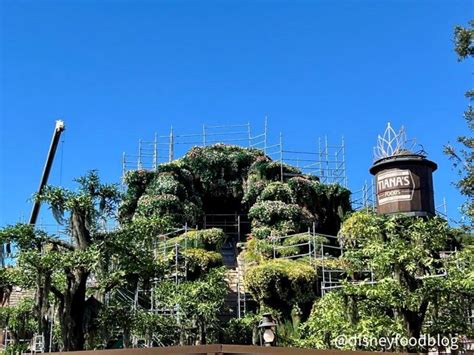 Tianas Bayou Adventure Opening The Disney Food Blog