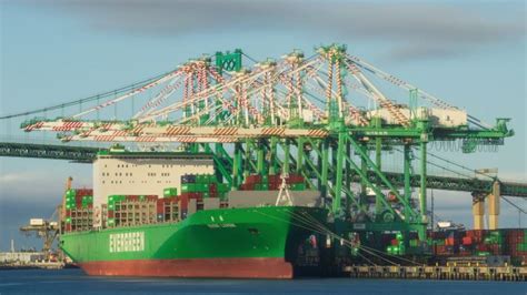 Update Uswc Disruptions Continue As Ilwu Flexes Power Amid Wage