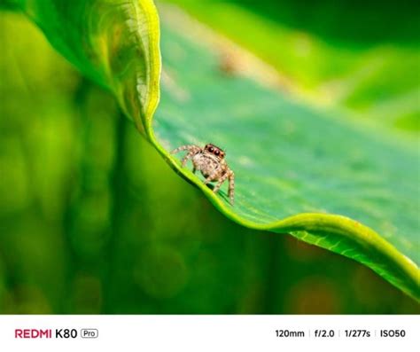 开启redmi旗舰影像元年 K80 Pro搭载小米15同款长焦镜头tom消费