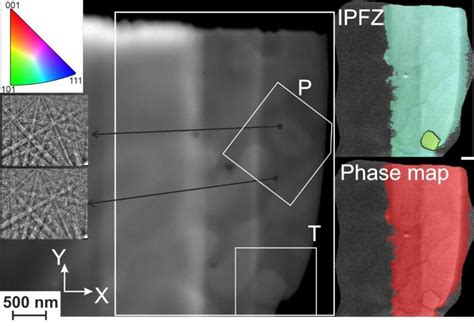 Transmission Kikuchi Diffraction Tkd Of A Lamella Prepared By Fib Download Scientific Diagram