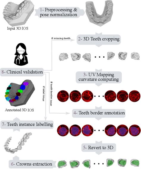 3dteethseg22 3d Teeth Scan Segmentation And Labeling Challenge