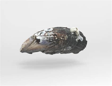 Photogrammetry 4 Steps Instructables